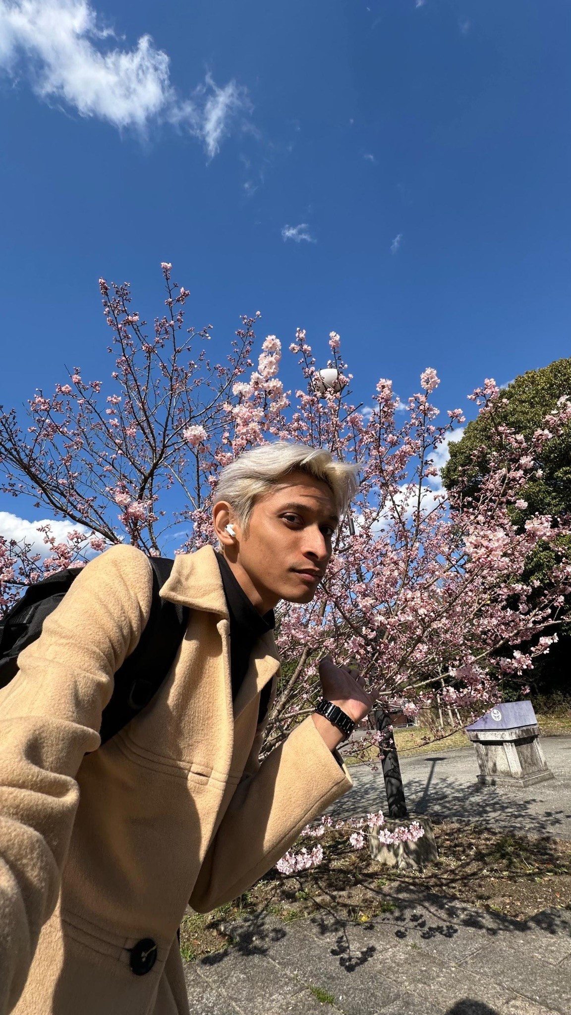 Reflections from Osaka: A Month of Remote Work and Discovery